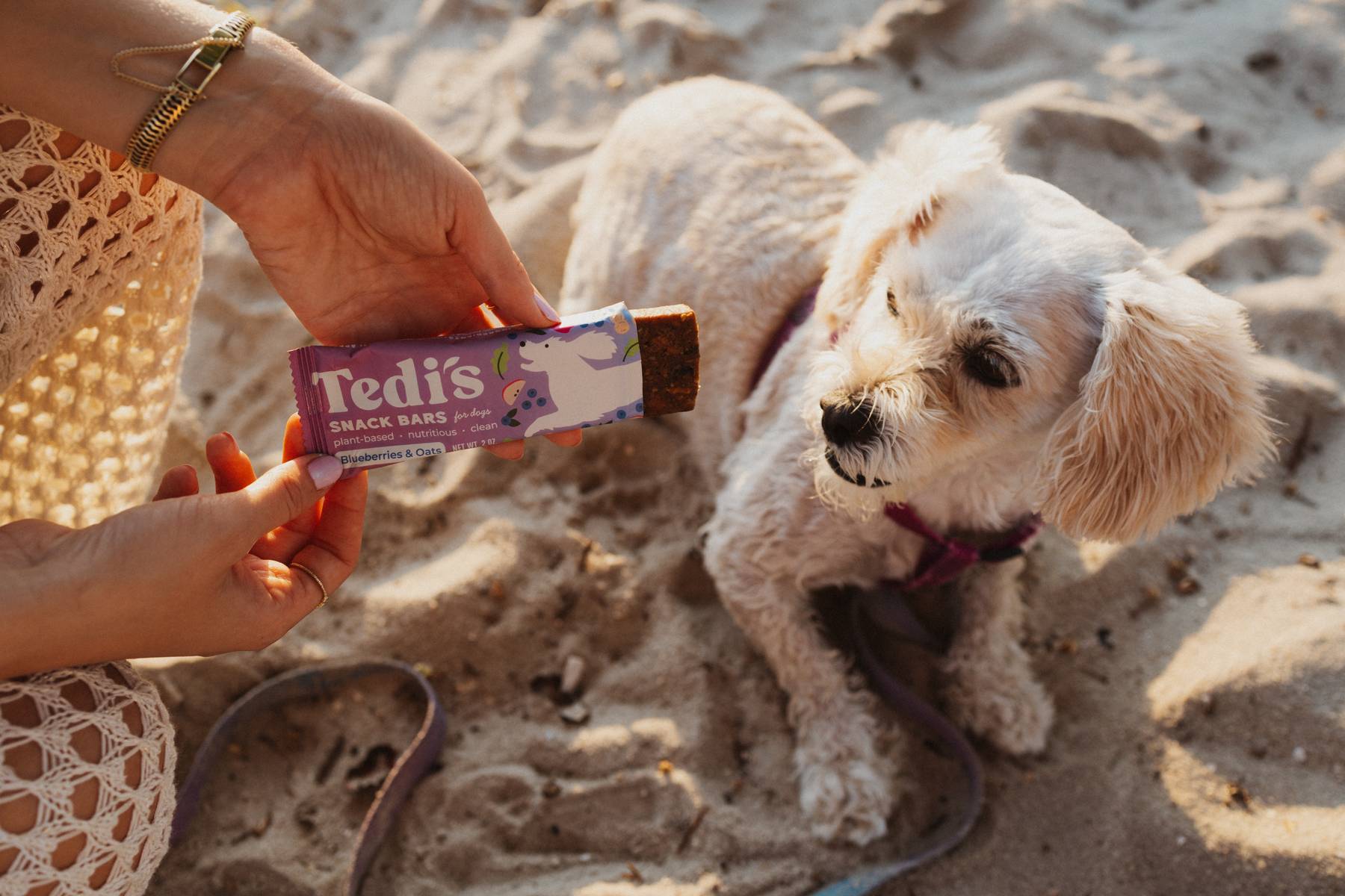 Tedi's | Premium Dog Treats & Snack Bars | Clean Ingredients